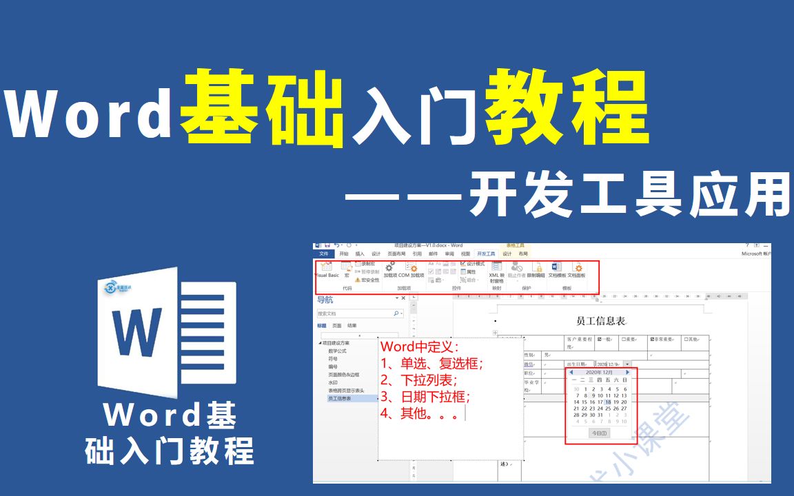Word基础教程—开发者模式全掌握【信息技术小课堂】