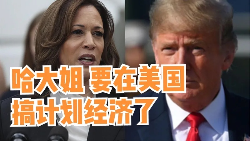哈大姐要在美国搞计划经济了!