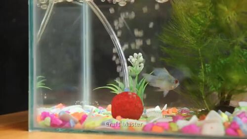 如何使水族馆过滤器没有泵科技小制作趣味验家庭小验创意diy科学小...