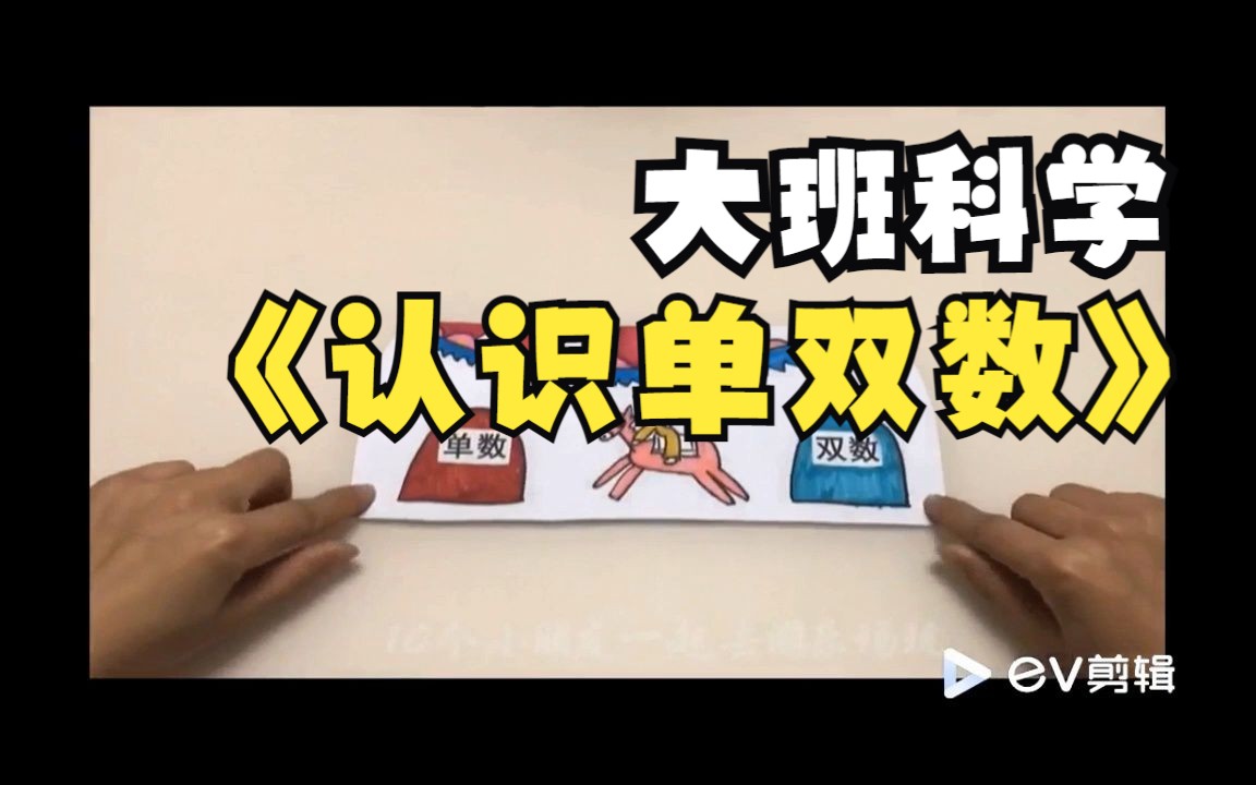 幼儿园优质微课:大班科学《认识单双数》