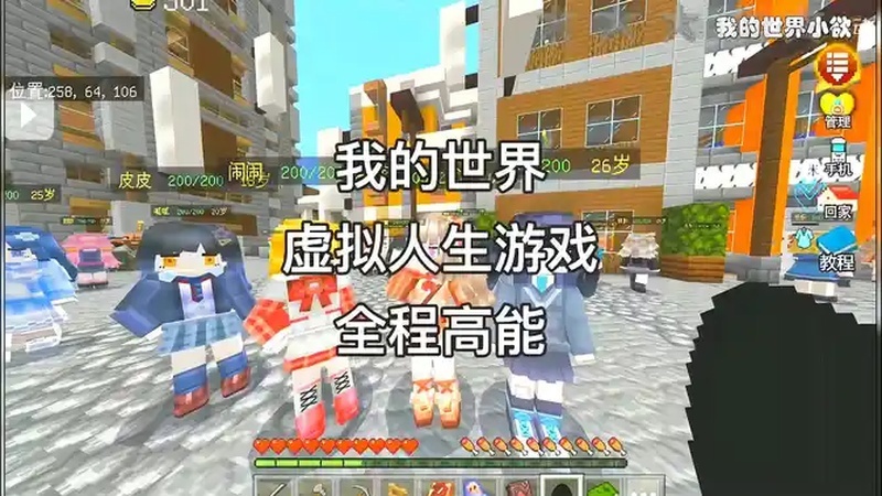 我的世界:虚拟人生游戏,我们能在游戏中结婚生子!