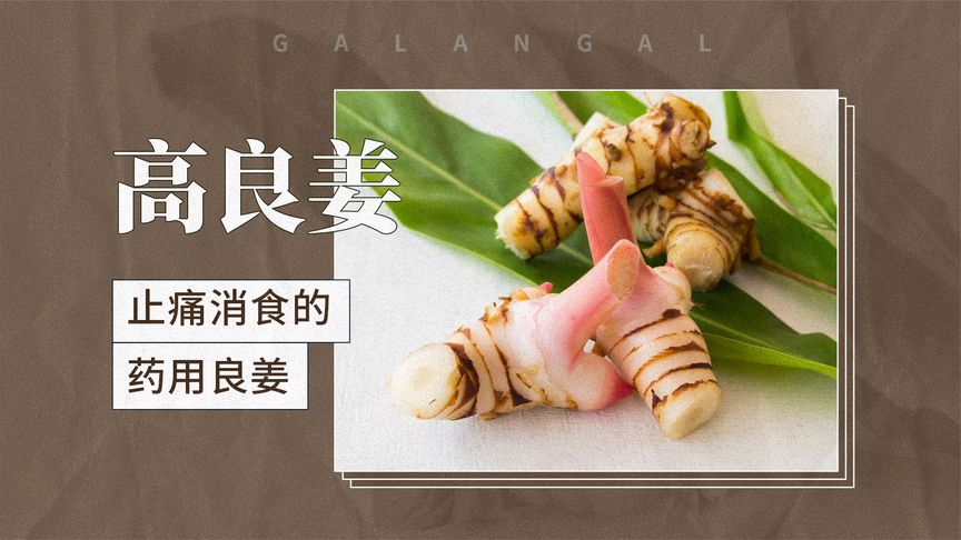 高良姜——止痛消食的药用良姜