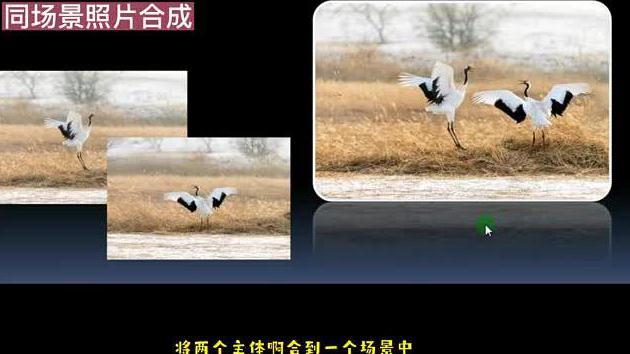 Ps同场景照片合成摆好位置修改好蒙版简单易学好操作ps.