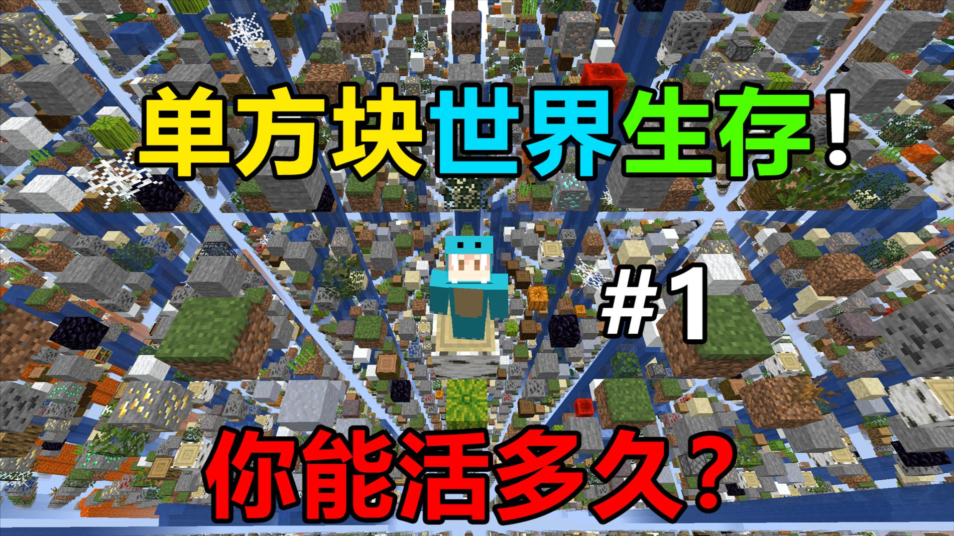 我的世界:你能活多久?单方块世界生存