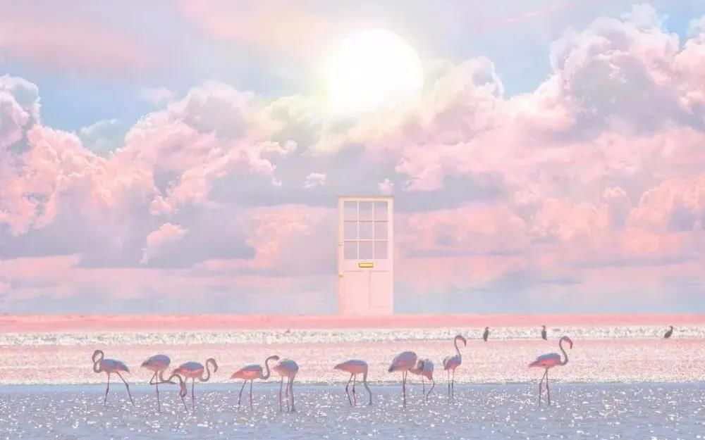 如何查询期刊的缩写