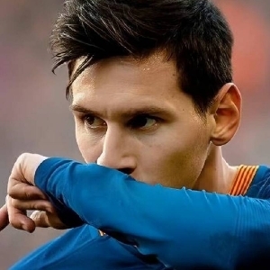 曲歌鸣紫枕德楠 