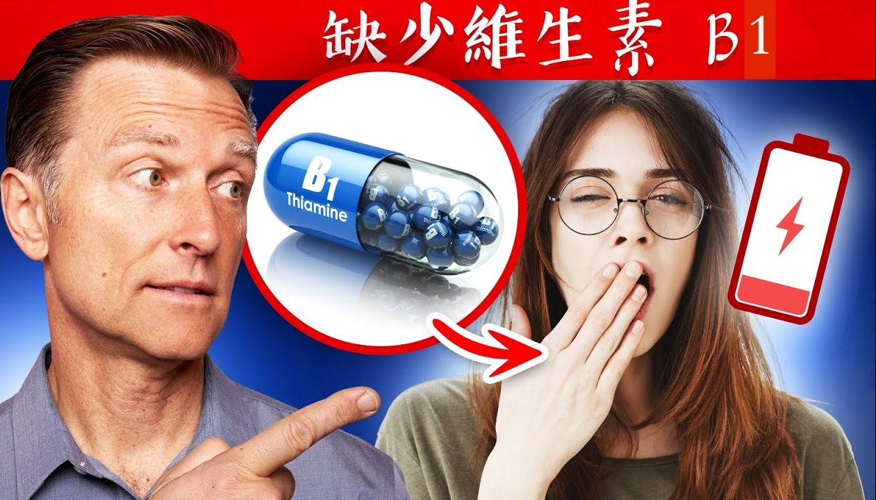 缺维生素B1,神经退化,缺能量,胃酸不足等,自然疗法,伯格医生 Dr Berg