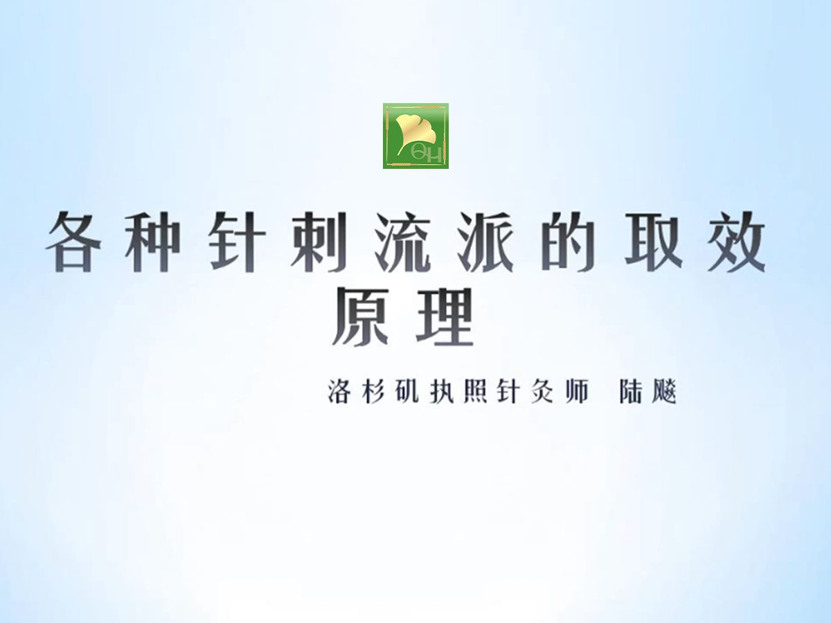 ...更加清楚什么情况可以使用什么方法来解决具体的问题(海外名家:陆飚)