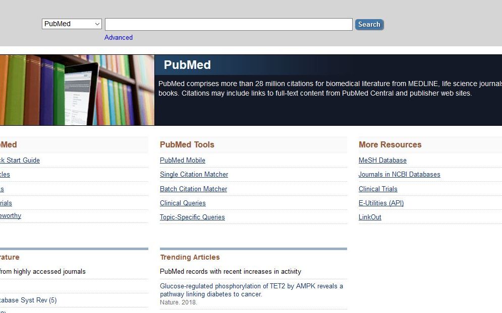 pubmed检索方法