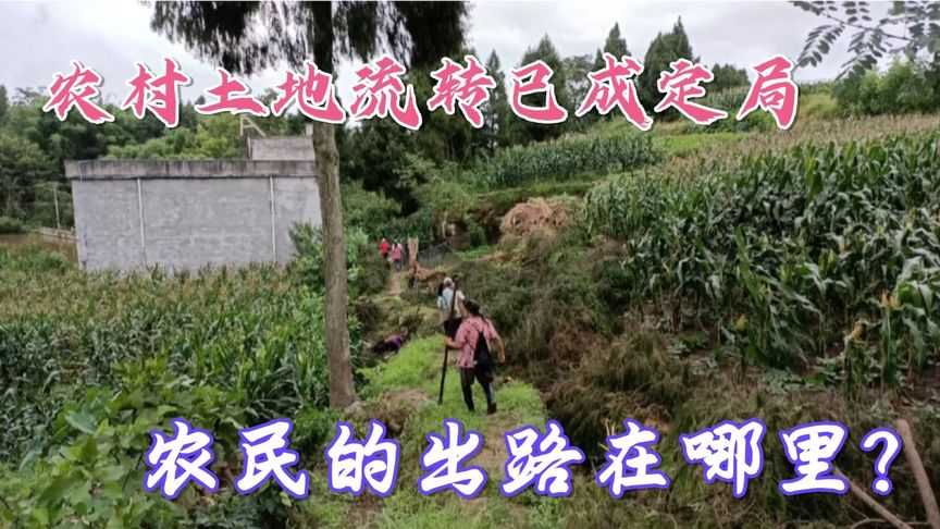 农村土地流转已成定局,是好事还是坏事,农村的出路到底在哪里?