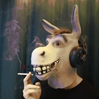 懂哲的驴 