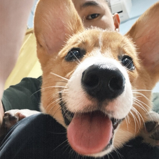 小吴的杂食小栈 