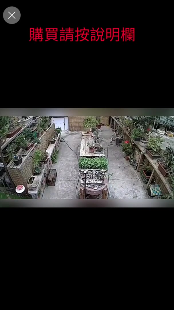 捕猫笼抓猫神器捕猫神器全自动捕猫笼子捉猫笼逮猫神器野猫救助笼