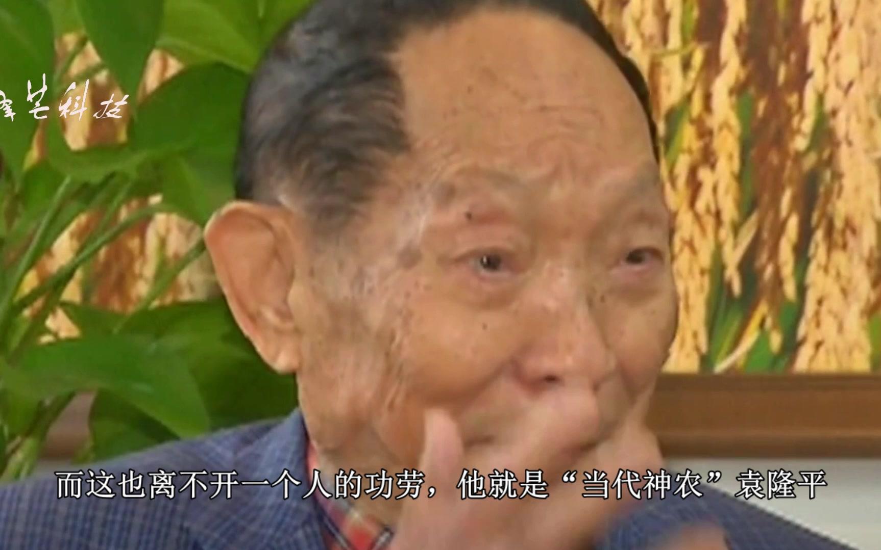 88岁袁隆平再创农业革命,在沙漠中种出水稻,一举打破世界纪录!