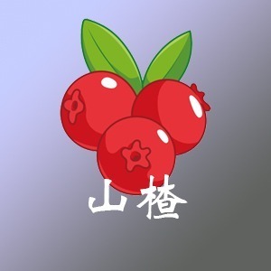 山楂电影a