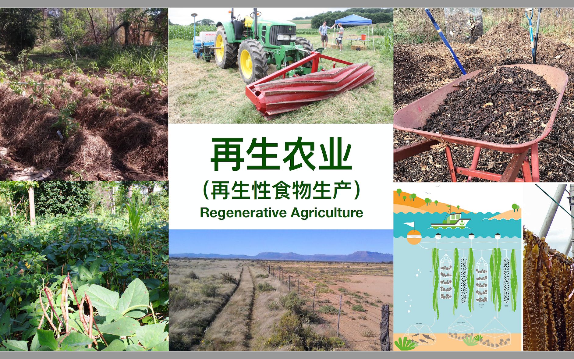 【食通社分享会】再生食物体系01:再生农业概览以及国际和我国华北...