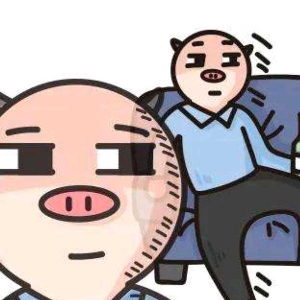 SmartHiPig 