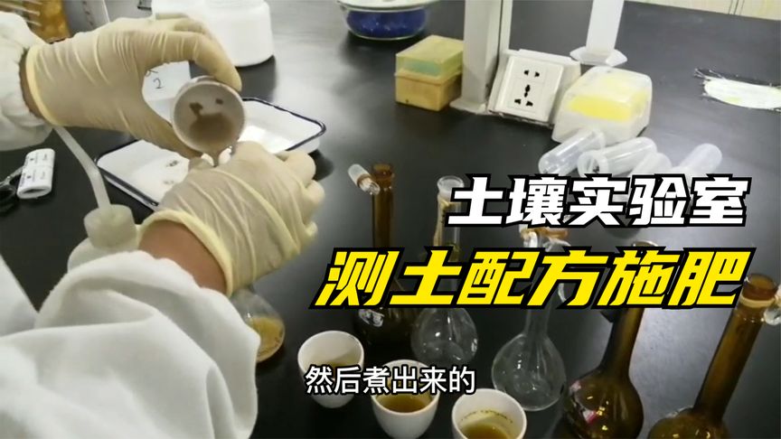 测土配肥涨知识!走进土壤检测实验室,揭秘磷含量检测方法与步骤