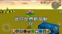 迷你世界新品种花教程!