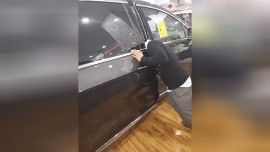 这是什么车质量真好,试个电动门插电没把自己夹死