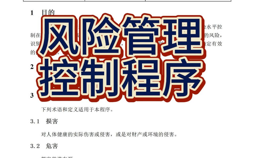 风险管理控制程序