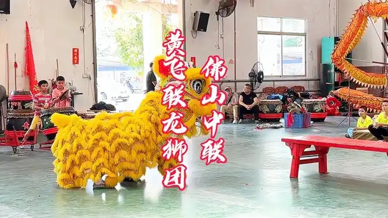 佛山中联黄飞鸿龙狮武术协会·雄狮少年