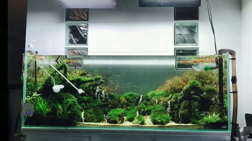 「草缸造景教程视频」一米二的缸,造景手法很高级“施工”级别