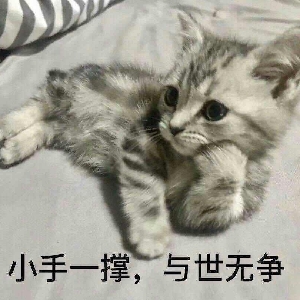 人生何惧远方 