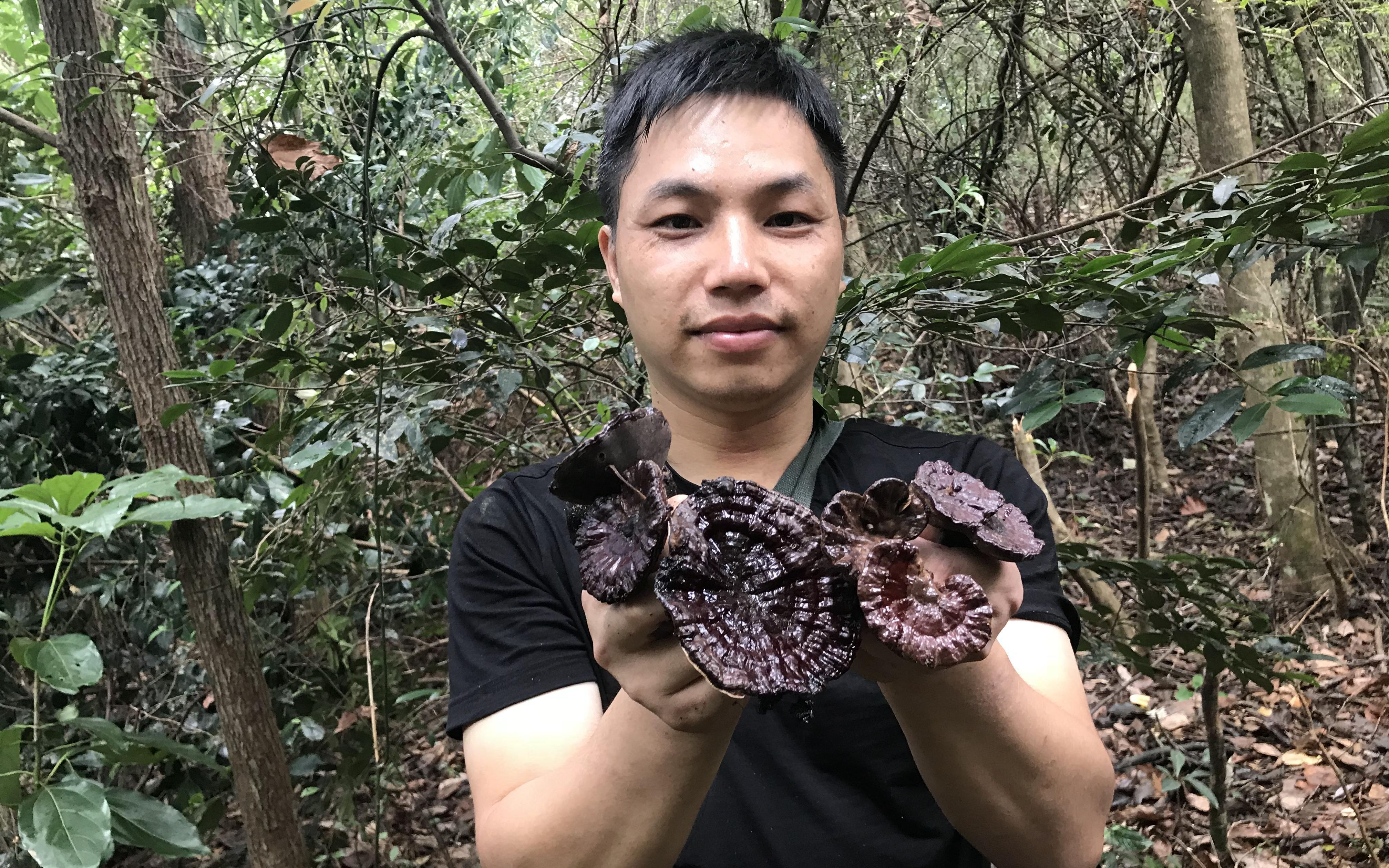 千年灵芝?一甲子功力?