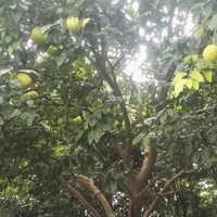 小ai观生活