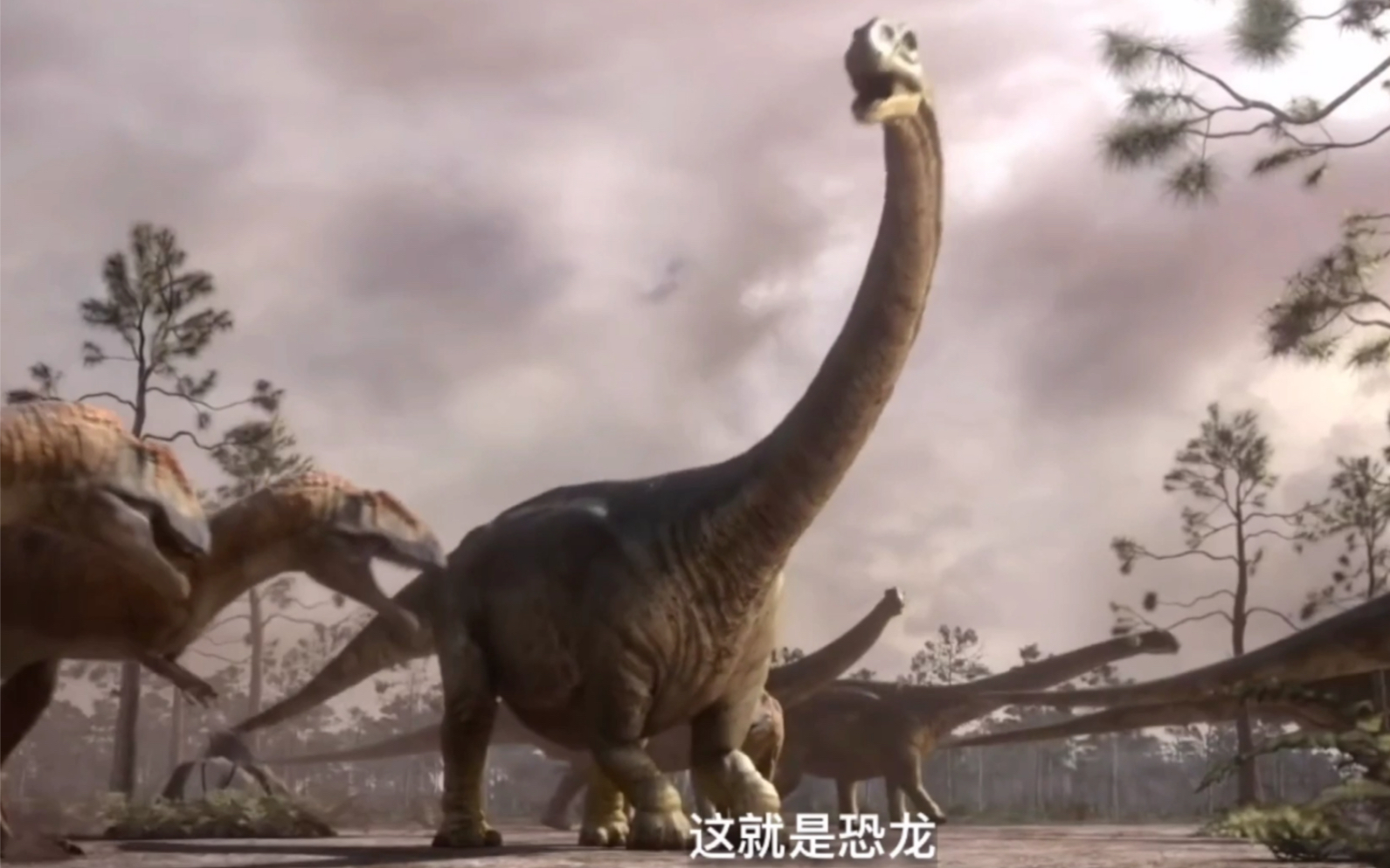 6500万年前恐龙灭绝的真相,科学家用动画还原当时场景!