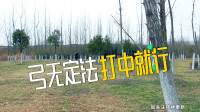 弹弓:横握瞄打也好,斜握估打也罢,只要能打中,就是好打法!