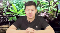 龟养龟小知识,为你解析乌龟缸是否有必要造景,来看看吧!