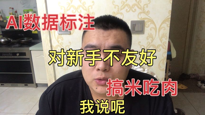 AI数据标注,对新手很不友好,免费教学是我错了吗?搞米吃肉