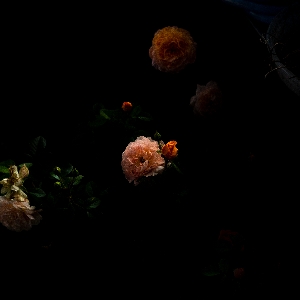 三一yi 