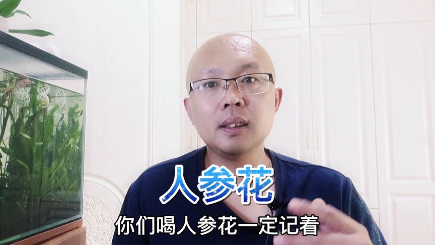 人参花是好东西,吃的时候记得好好洗洗,好好洗洗再泡水喝