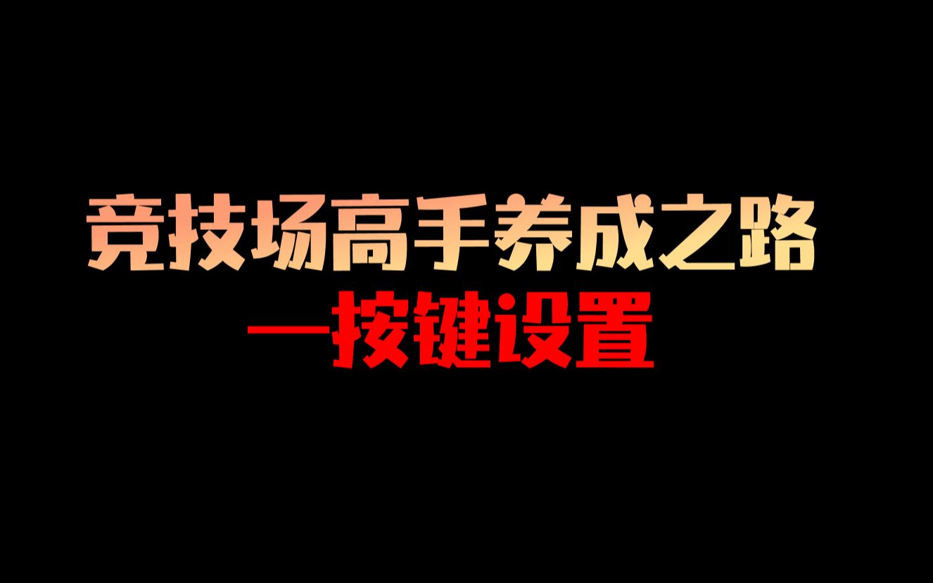 竞技场高手养成之路——按键设置