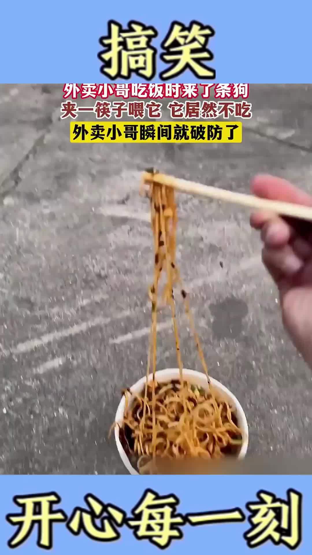 外卖小哥吃饭时来了条狗,夹一筷子喂它,它居然不吃!