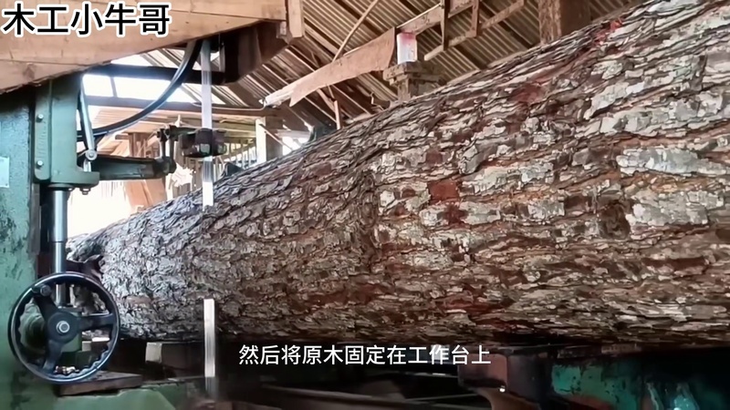 锯木切割一根昂贵的红木原木