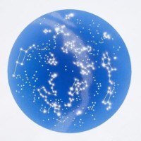 小星说动画