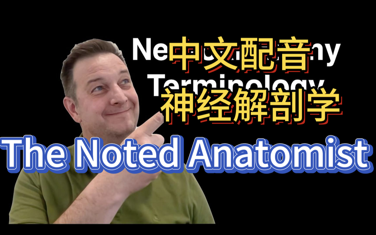 【中文配音】The Noted Anatomist神经解剖全集:脑/脊髓/神经通路精讲...