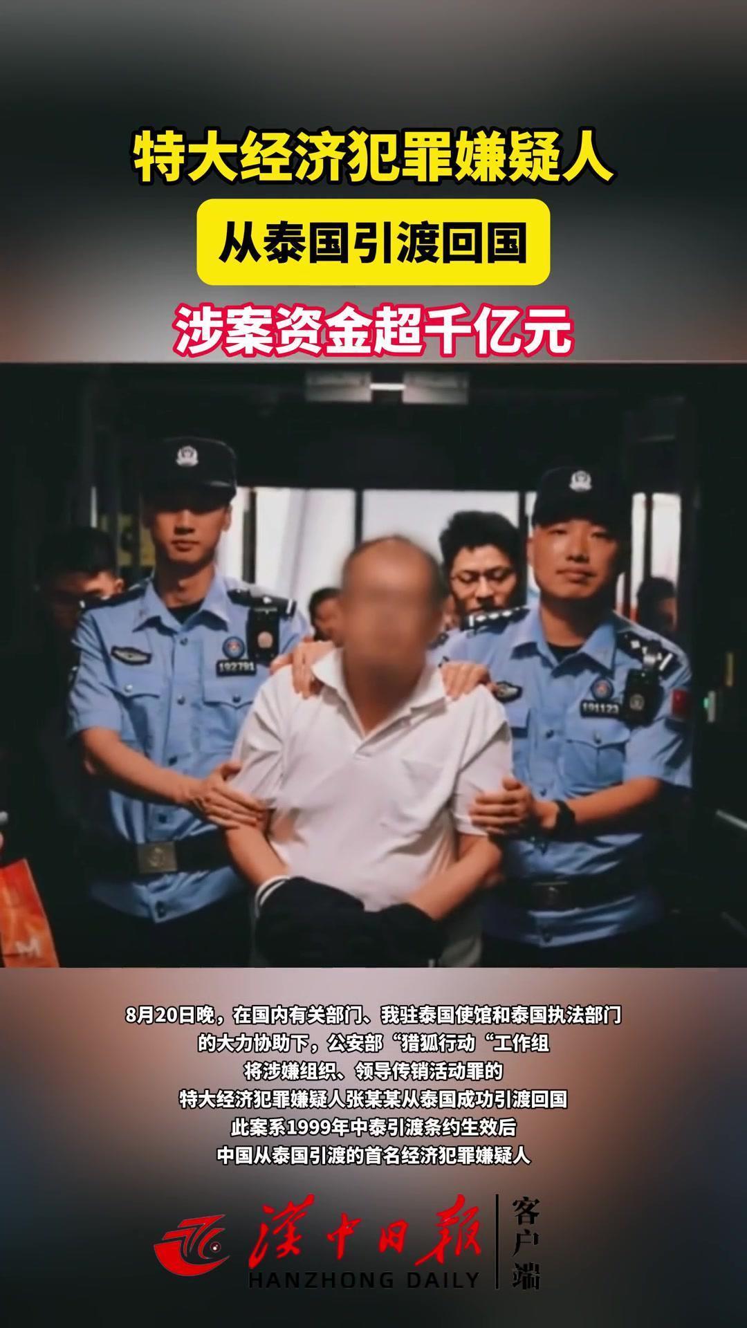 公安部"#猎狐行动"工作组将涉嫌组织、领导传销活动罪的特大#经济...