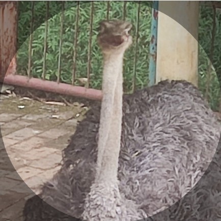 智慧的眼神--__-- 