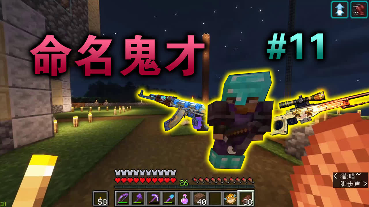 我的世界:“网瘾少年”在MC中是如何给宠物命名的?