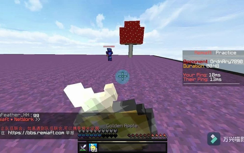 [我的世界1.8.9]提升FPS的pvp材质包!(短剑低火)#2