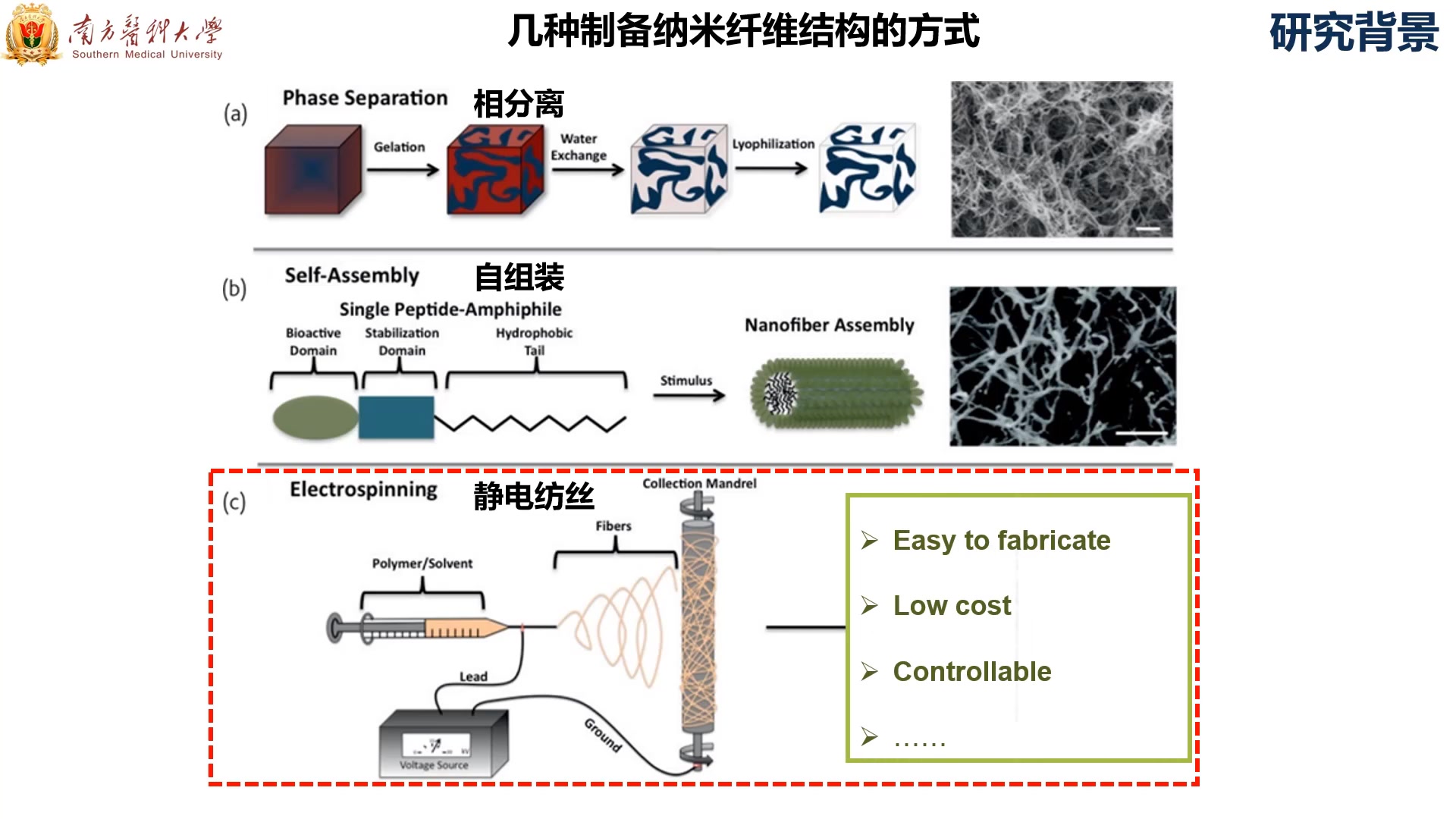 ...讲座】2020-王玲-生物仿生支架的设计、制备及其在组织工程中的应用