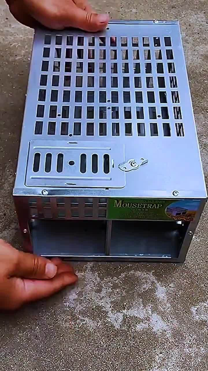 捕鼠笼爱分享 请多关注点赞!