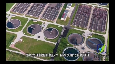 污水深度处理:硫自养反硝化技术