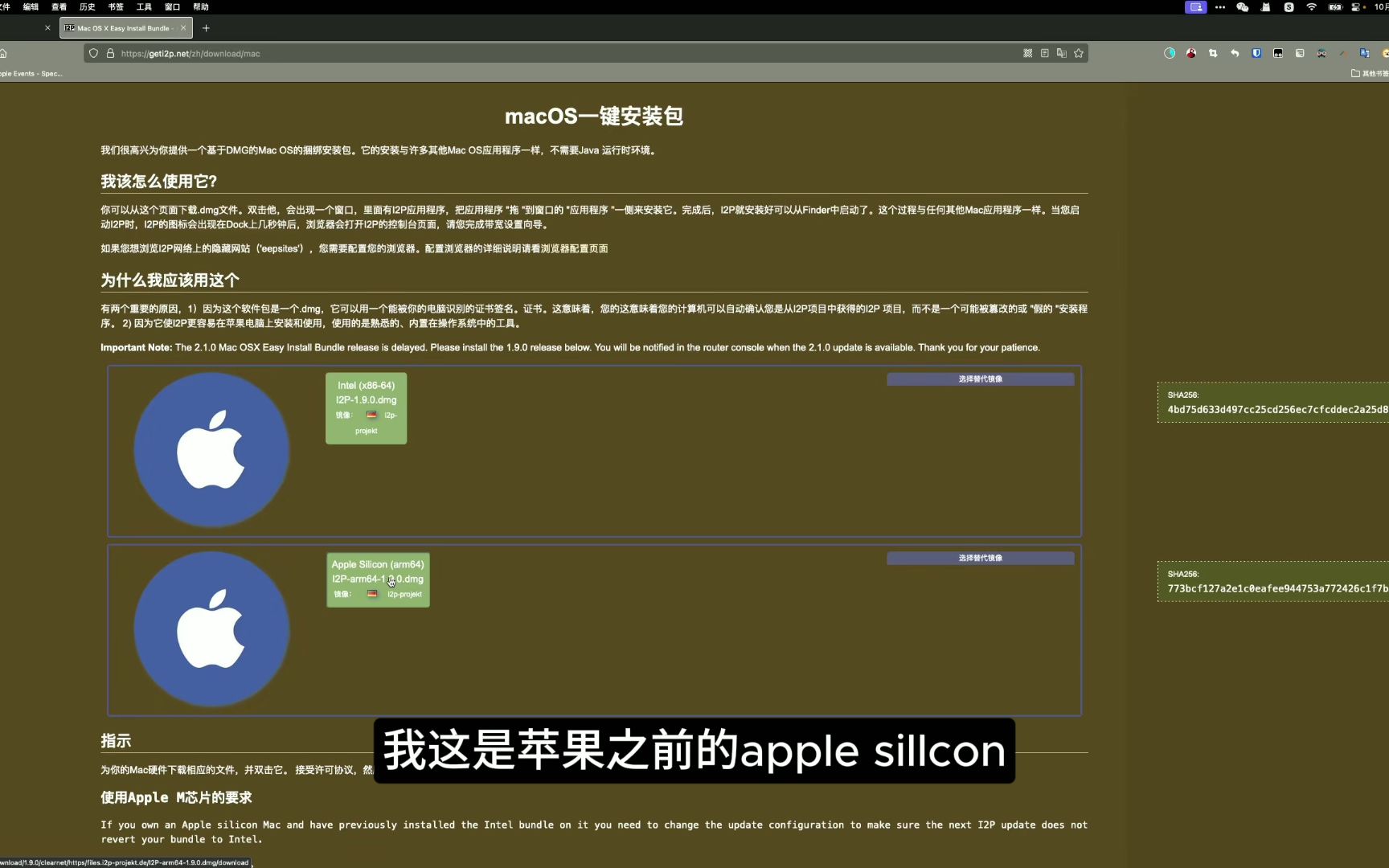 如何使用tor和I2p来进行加密访问网址?
