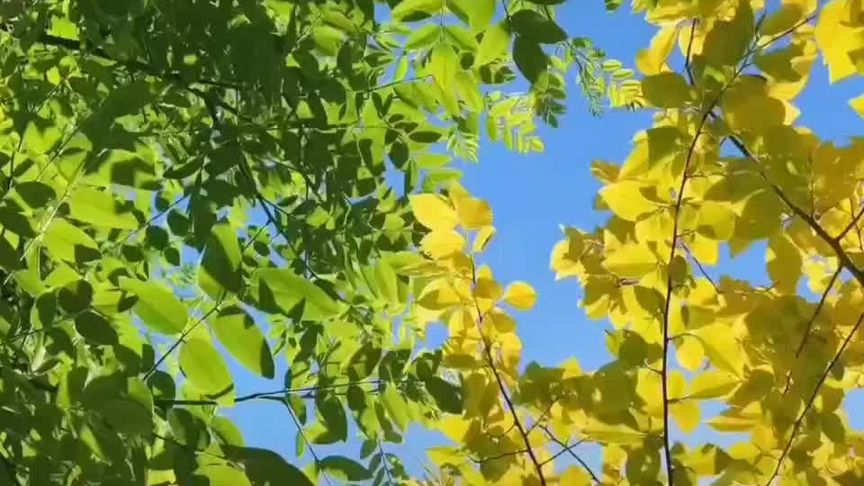 第十个全国学前教育宣传月主题“砥砺十年,奠基未来